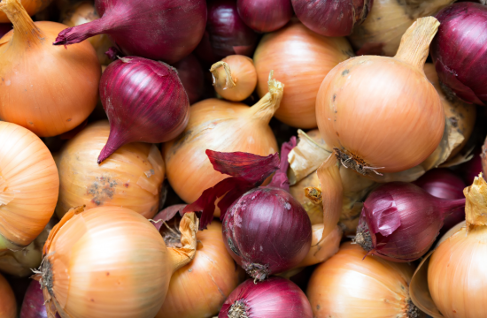 Sénégal : L’oignon est le principal produit horticole d’importation ...