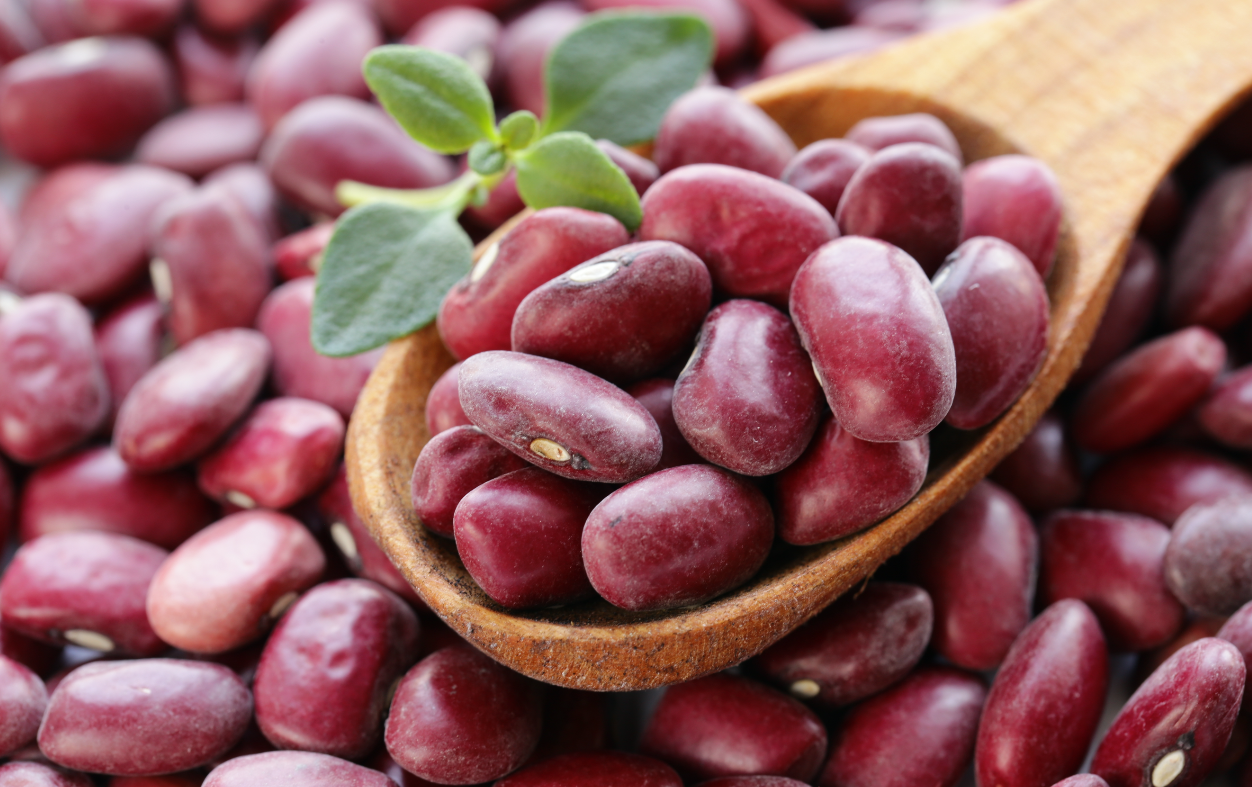 Kenya : L’industrie des haricots rouges, dans une situation très ...